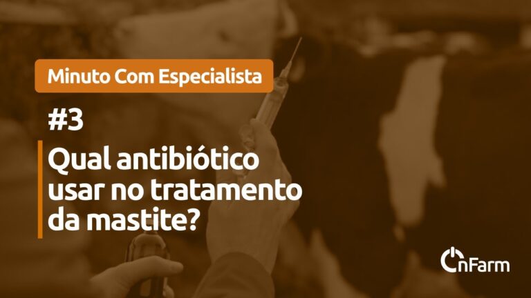 Antibiótico eficaz no tratamento da mastite: guia completo ...