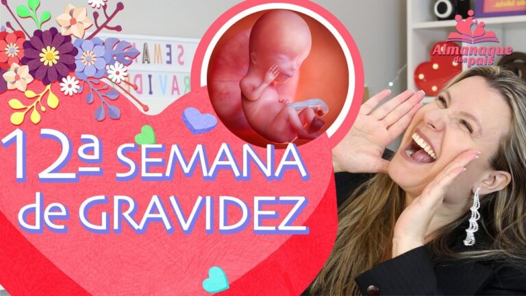 Calculando a Idade Fetal: Quanto é 12 Semanas? | Actualizado septiembre ...