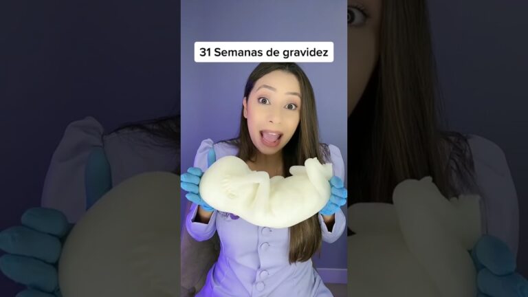 31 Semanas: Quantos Meses São? | Actualizado diciembre 2025