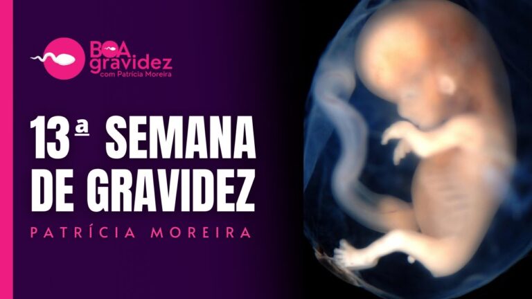 Entendendo o Que Significa 13 Semanas | Actualizado diciembre 2025