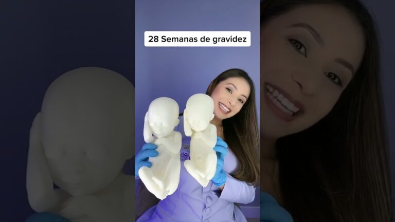 28 Semanas: Quantos Meses São? | Actualizado octubre 2025